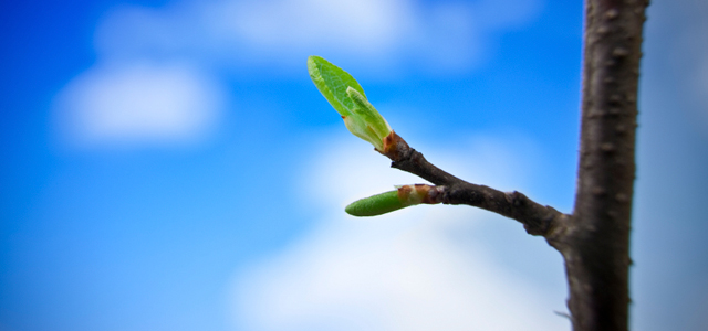 Formar para transformar